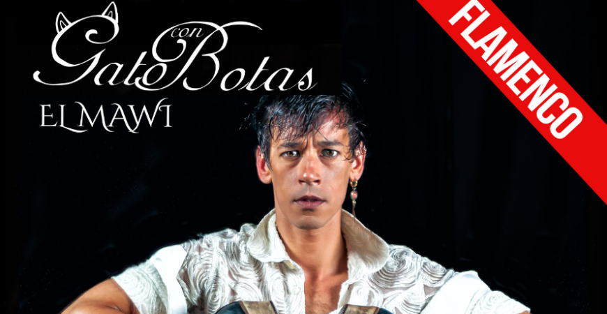 Teatro flamenco ‘EL GATO CON BOTAS. EL MAWI’, en Sevilla | AIIAOC